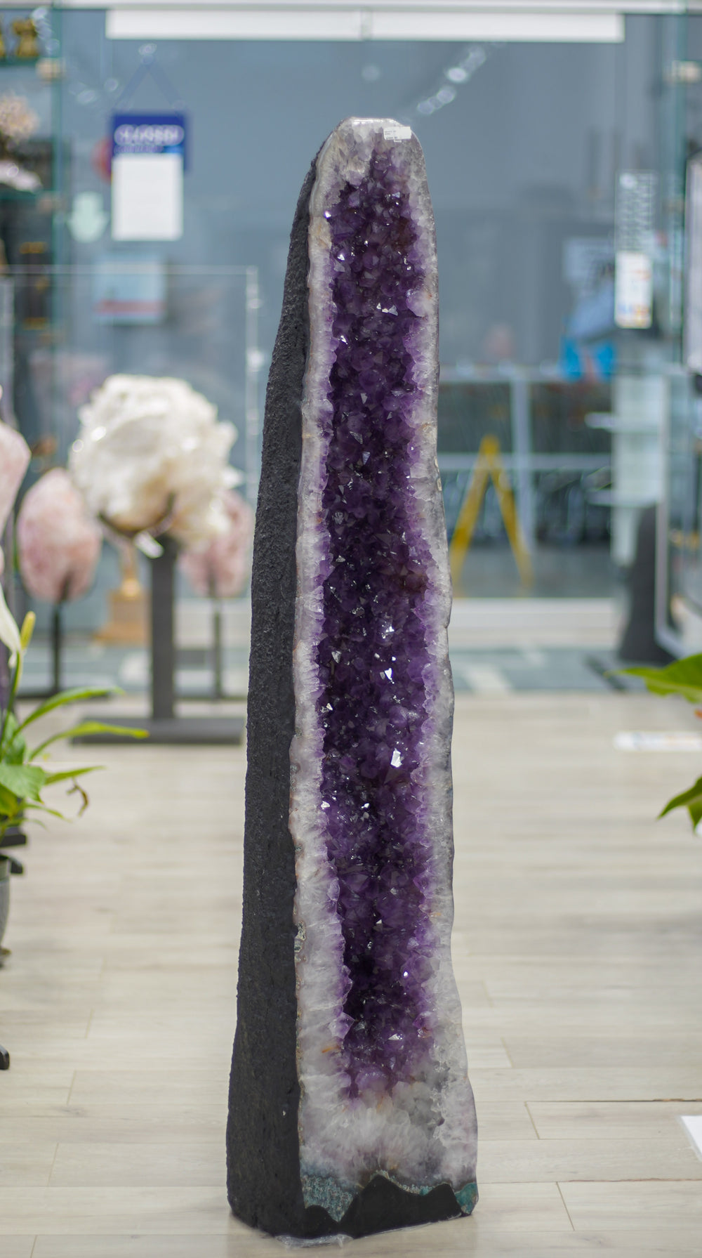 Buy Crystals Online Canada | Nishca Crystal Shop – Nish Crystals And ...